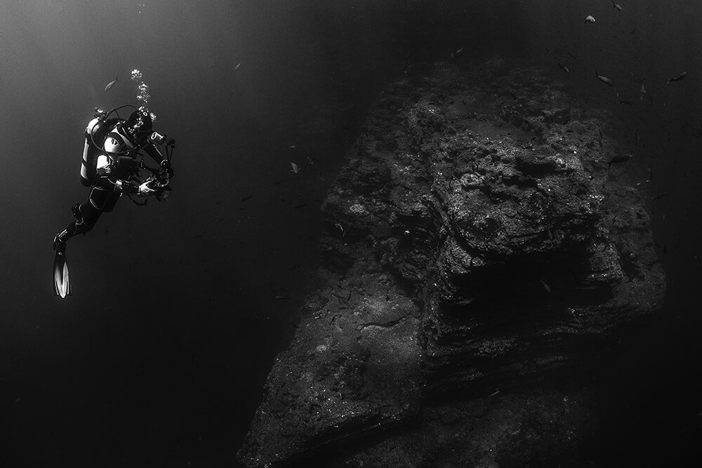 6 Tips for a Perfect Night Dive | SEARCH SCUBA - Blog