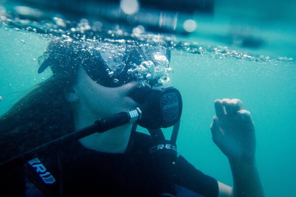 Scuba Diving Levels Explained: From Beginner To Expert - Blog