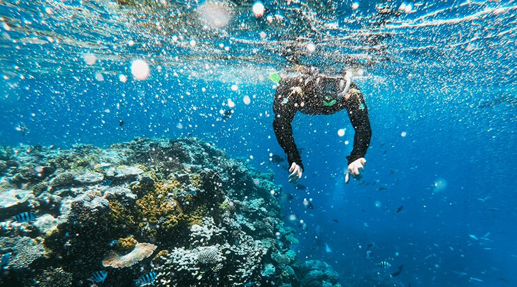 Scuba Diving in Bermuda | SEARCH SCUBA