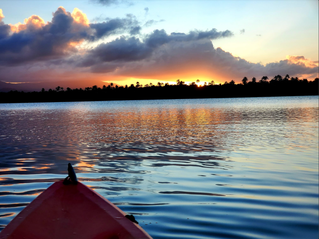 Natural One- Laguna Grande Bio Bay Kayaking | Search Scuba Natural One- Laguna Grande Bio Bay Kayaking | Search Scuba